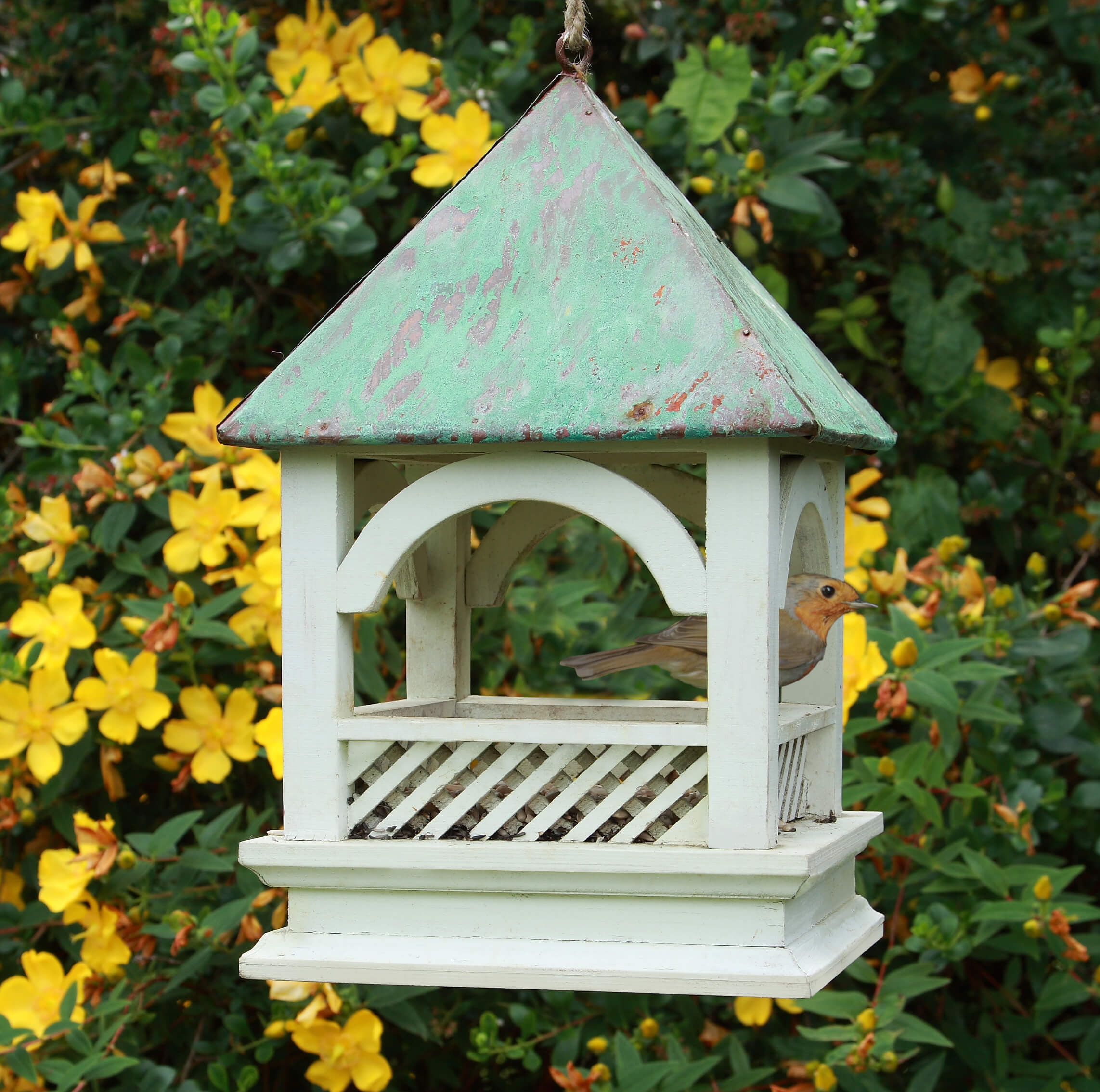Bempton Hanging Bird Table – Awesome Wildlife Co