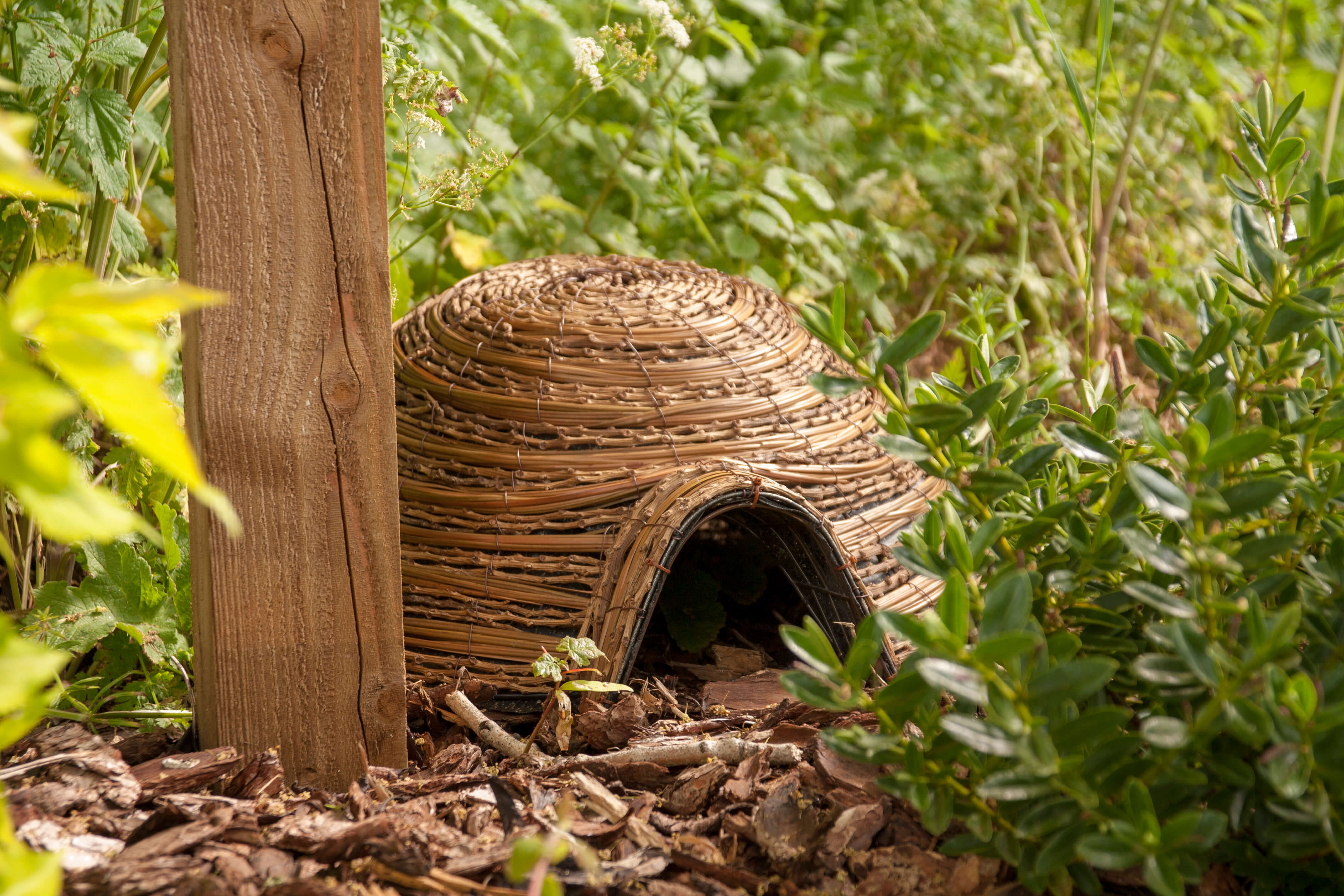 Dome Hedgehog House – Awesome Wildlife Co