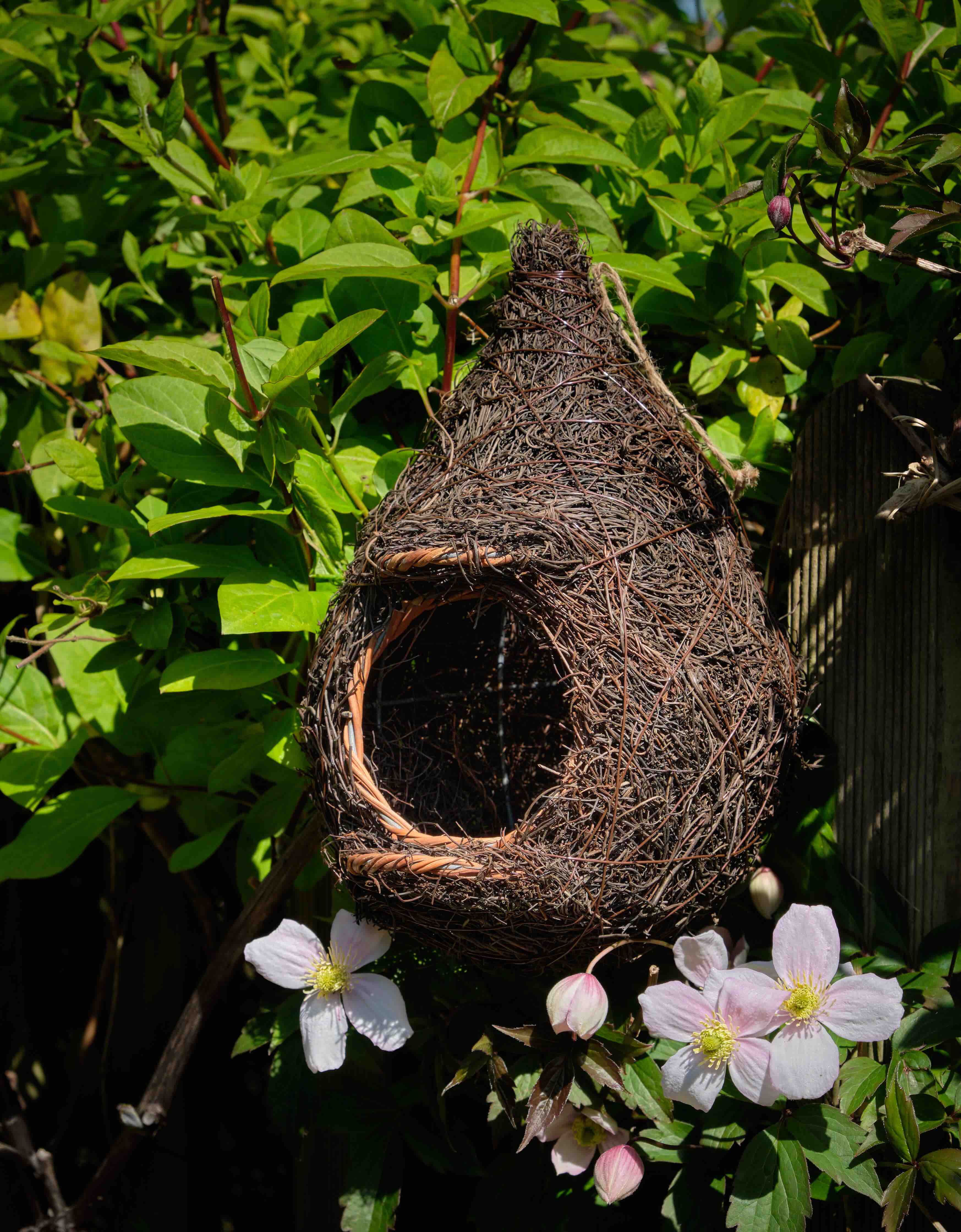 Giant Robin Nest Pocket – Awesome Wildlife Co
