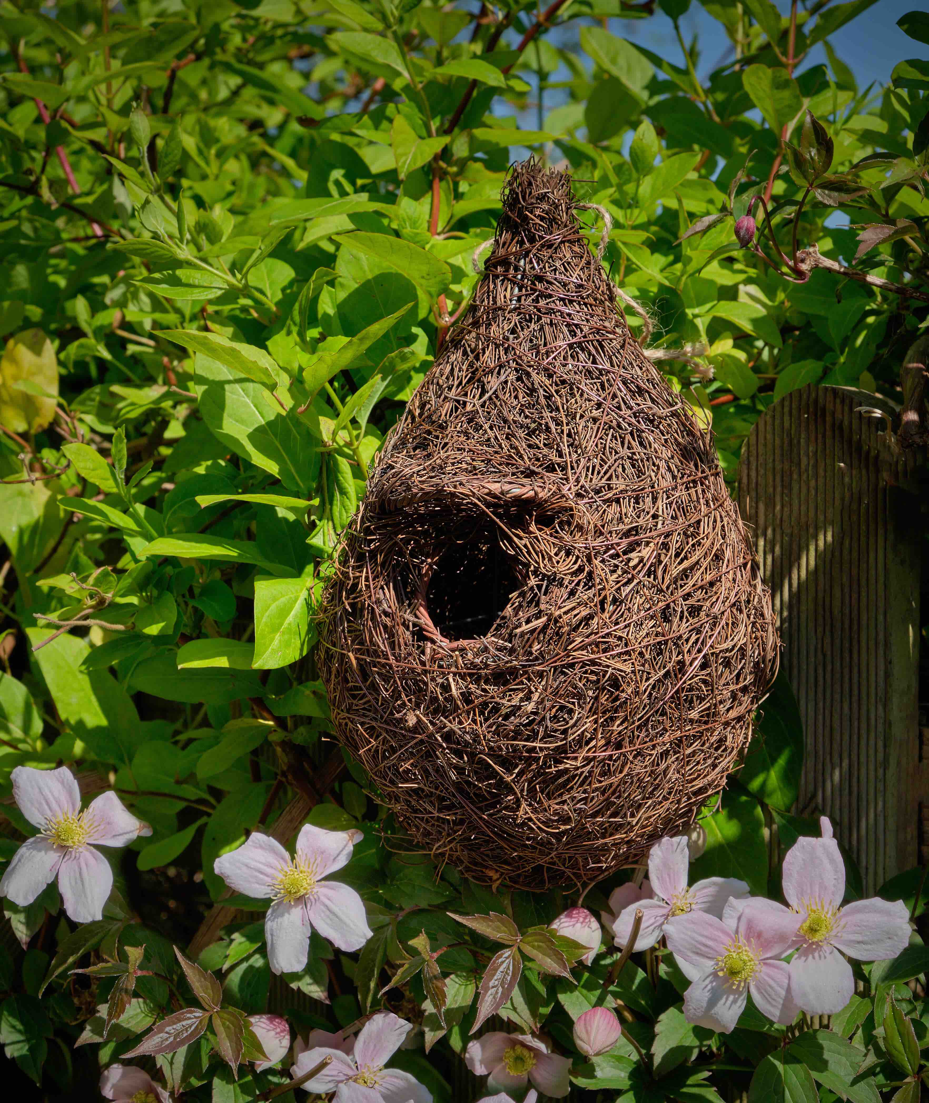 Giant Roost Nest Pocket – Awesome Wildlife Co