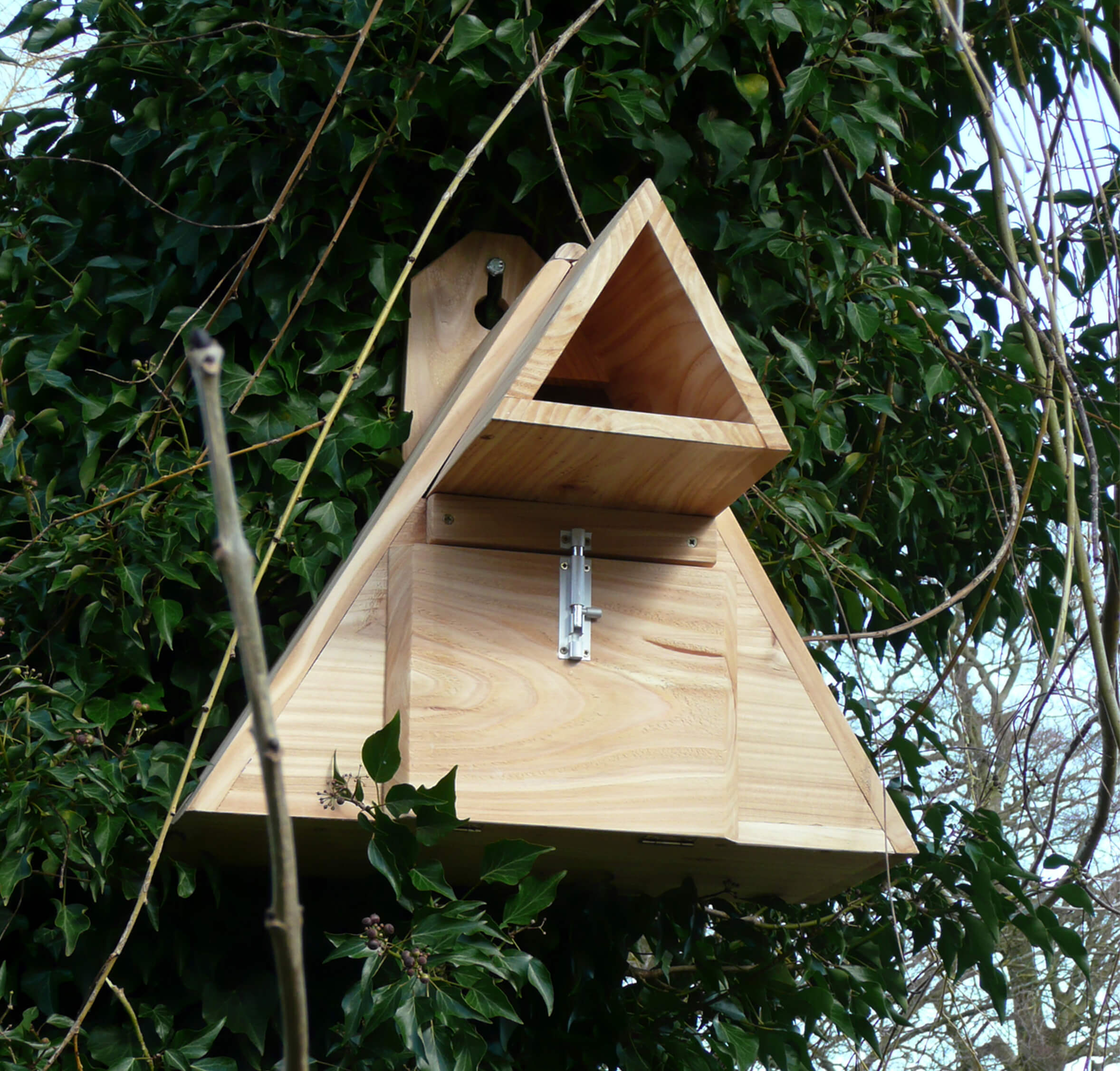 Little Owl Nest Box – Awesome Wildlife Co